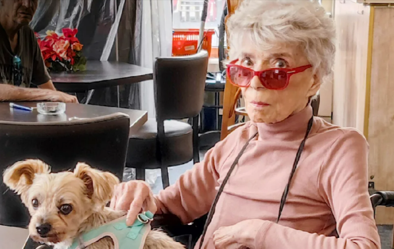 Ingrid Steeger ist tot! Trauriges Ende einer Ikone Vipflash
